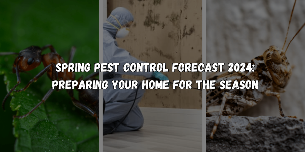 Spring Pest Control Forecast 2024: Preparing Your Home for the Season ...