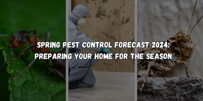 Spring Pest Control Forecast 2024: Preparing Your Home for the Season ...