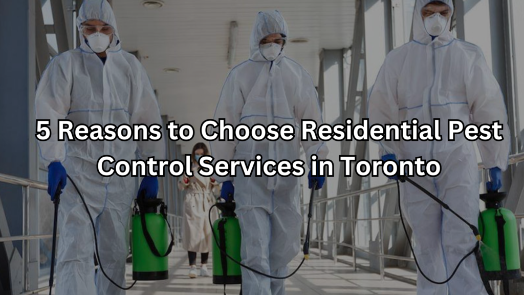 5 Reasons to Choose Residential Pest Control Services - Quality ...