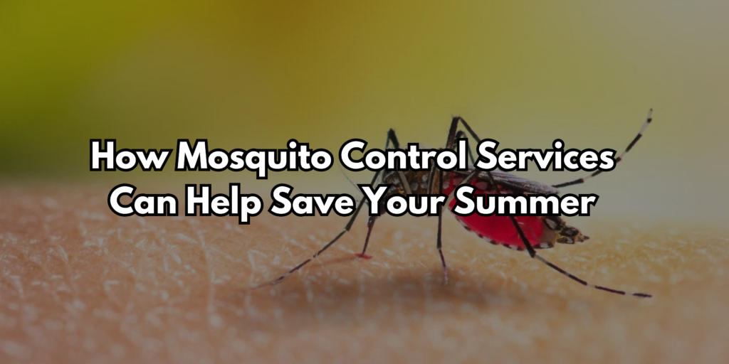 How Mosquito Control Services Can Help Save Your Summer - Quality ...