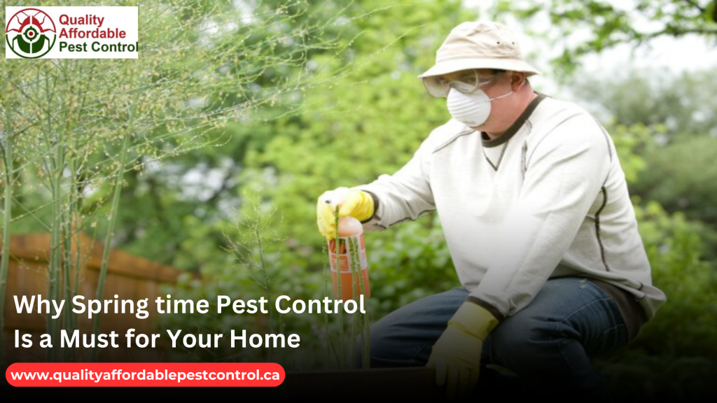 Why Spring time Pest Control Is a Must for Your Home - Quality ...