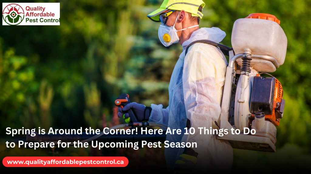 Spring is Around the Corner! Here Are 10 Things to Do to Prepare for ...