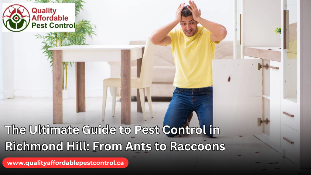 The Ultimate Guide to Pest Control in Richmond Hill: From Ants to ...