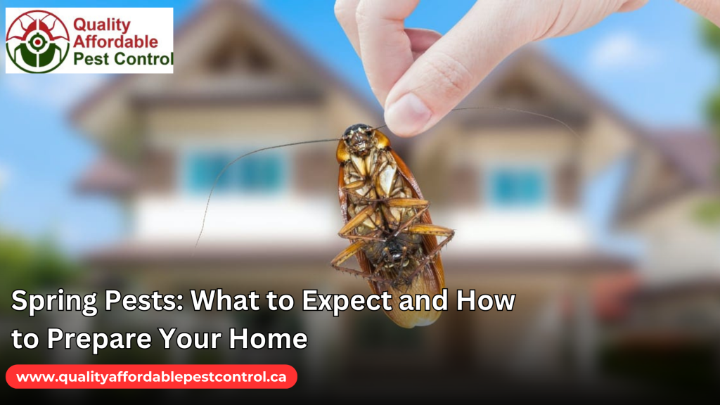 Spring Pests: What to Expect and How to Prepare Your Home - Quality ...