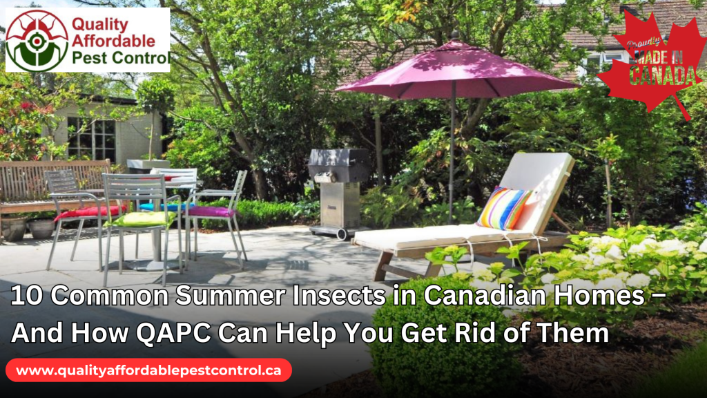 10 Common Summer Insects in Canadian Homes | QAPC Pest Control